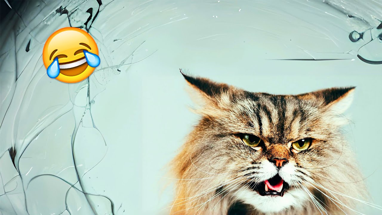 Funny Pets Compilation: Craziest and Cutest Animal Moments | Funny ...