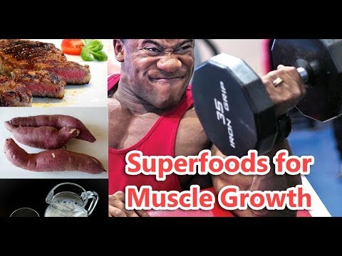 Top 10 Superfoods for Muscle Growth - YouTube