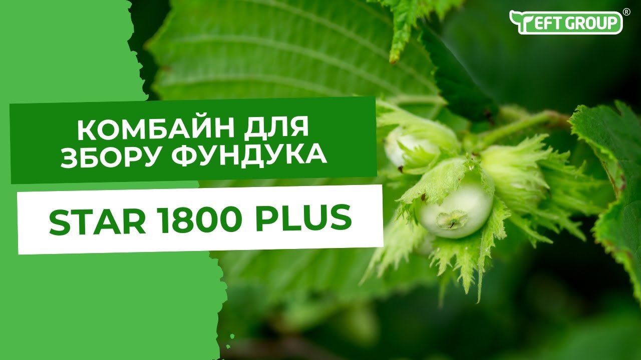STAR 1800 Plus - комбайн для збору фундука - YouTube