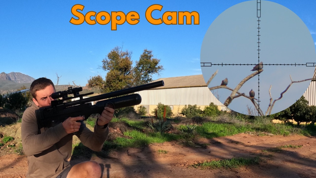 Scope Cam Pigeon and pest bird Hunting with a PCP Air rifle! - YouTube