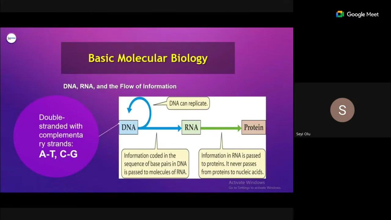 1st Expert Session on Bioinformatics Short Course - YouTube