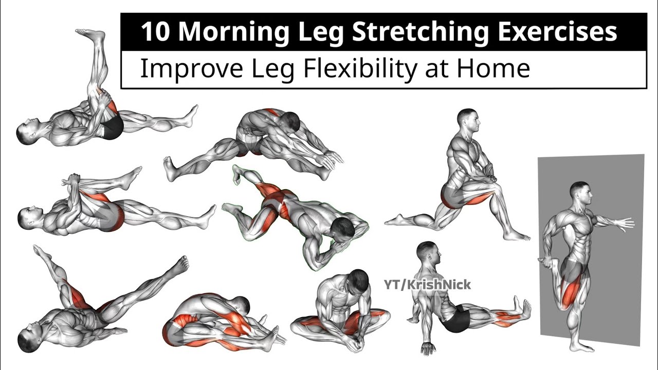 10 Morning Leg Stretching Exercises | Improve Leg Flexibility at Home ...