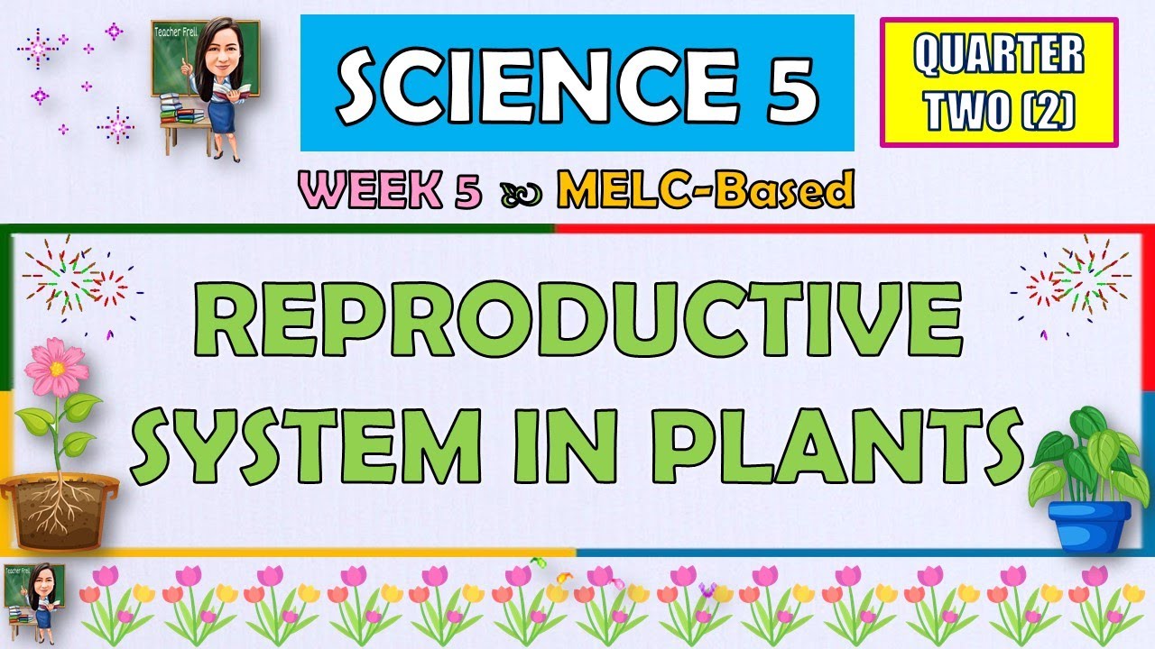 SCIENCE 5 || QUARTER 2 WEEK 5 | REPRODUCTIVE SYSTEM IN PLANTS | MELC ...