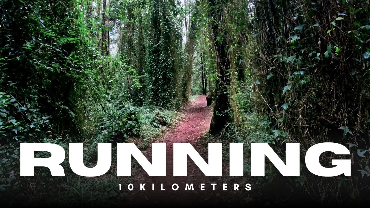 10KM POV Run | Pure First-Person Running Experience (56 Minutes, No ...