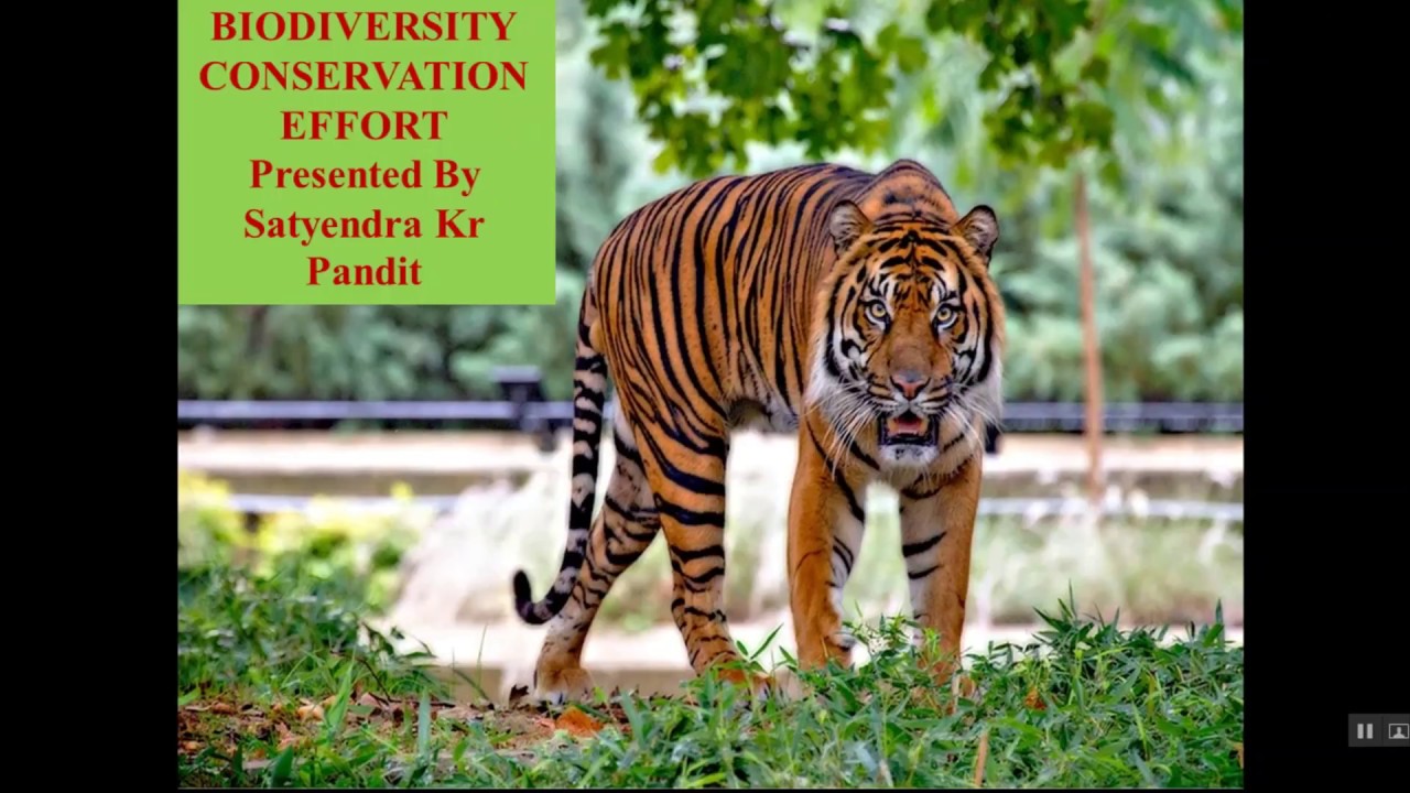 Biodiversity-Conservation Effort(Project Tiger)-UPSC/IAS/SSC/CDS-Part 1 ...