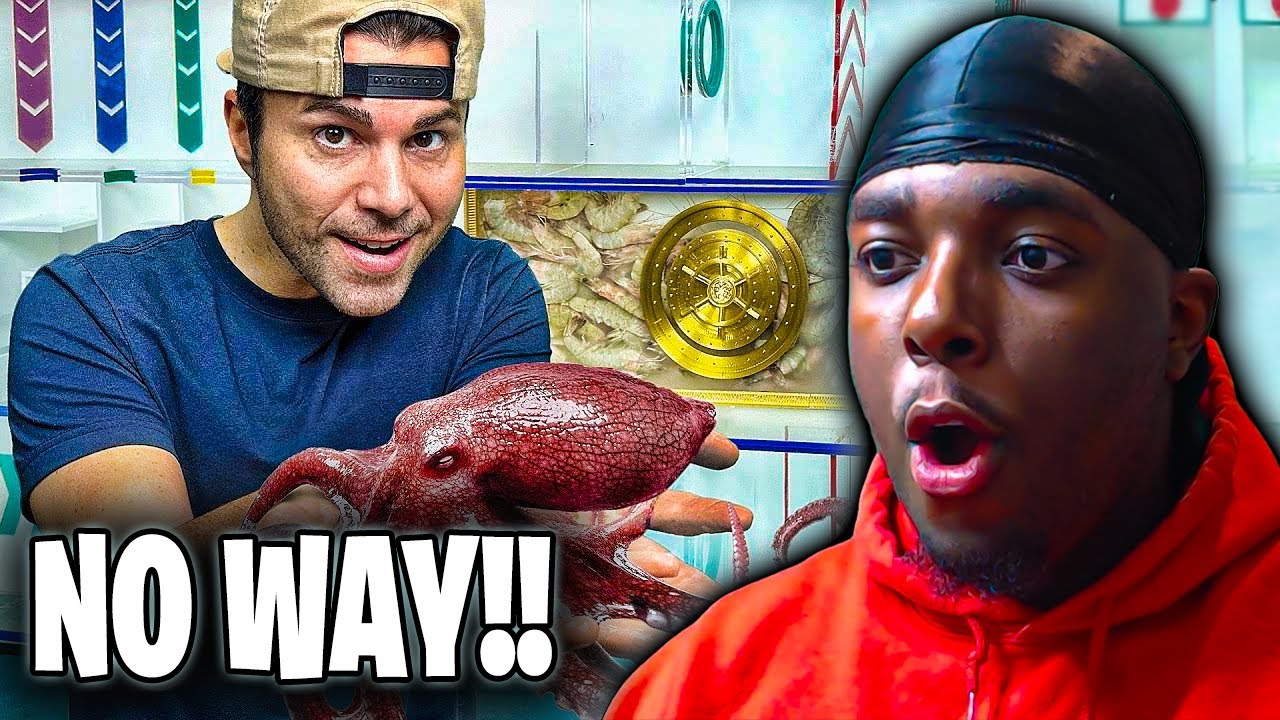 How Are They So SMART?!- Octopus vs Underwater Maze Reaction | Mark ...