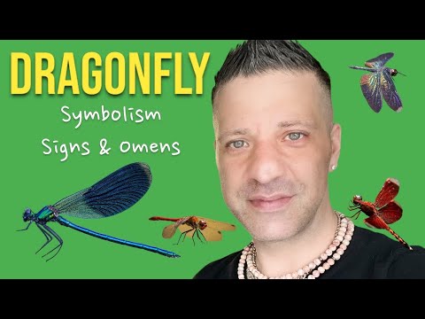 What Do Dragonflies Symbolize In Death