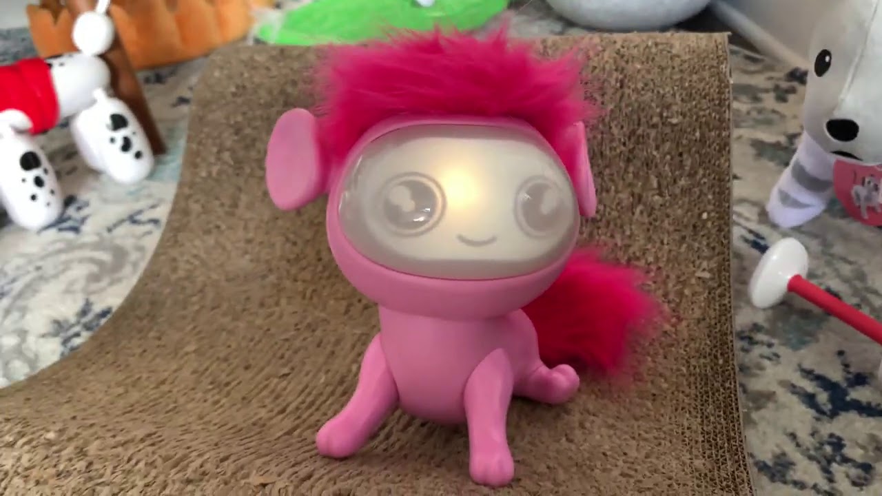 Pooki Interactive Pet - A Present From Pooki - YouTube