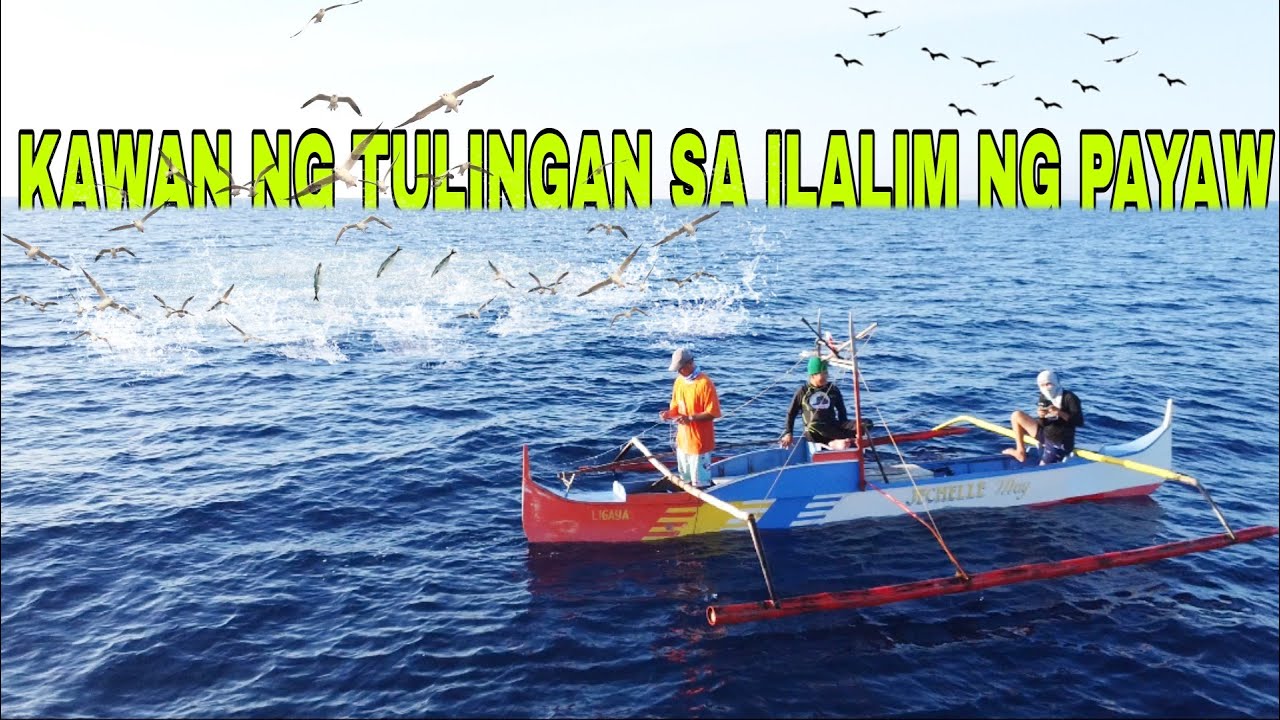 CATCHING BULLET TUNA OR TULINGAN USING TRADITIONAL HANDLINE FISHING ...