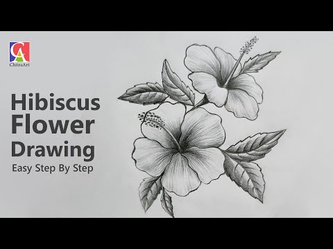 How To Draw Hibiscus Flower | Step By Step Drawing with Shading | Video for Beginners | 4K Video