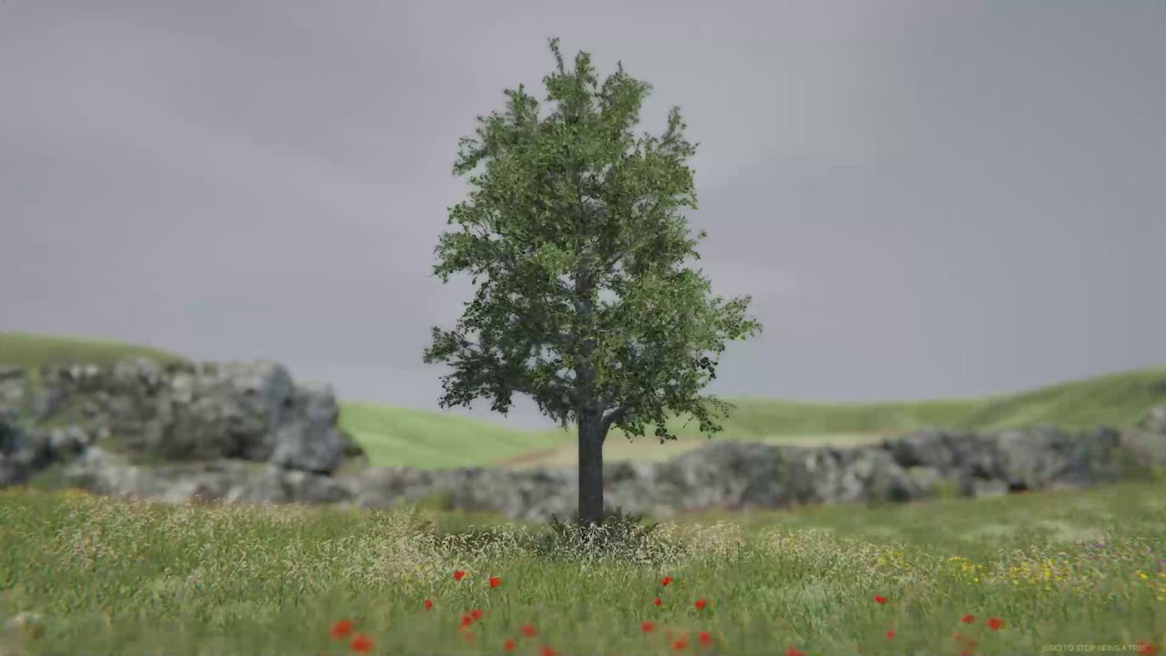 Tree Simulator 2020 der Baum Simulat Einfach mal abschalten - YouTube