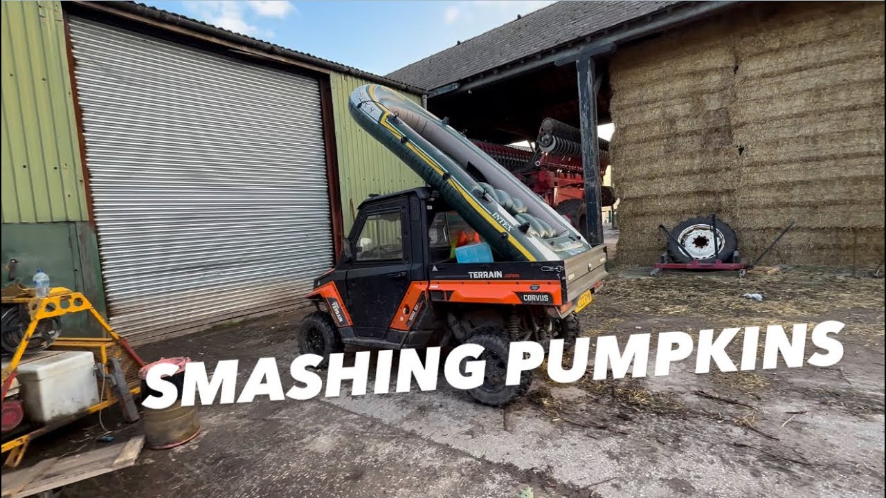 PUMPKIN PATCH PUBLIC PROBLEMS AND BAD WIND AnswerAsAPercent 1678 - YouTube