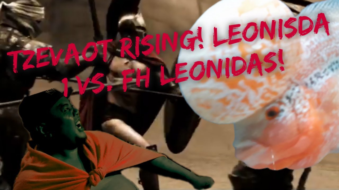 FLOWERHORN ENHANCER & FOOD | A DISCOVERY OF TZEVAOT & IT'S BENEFITS # ...