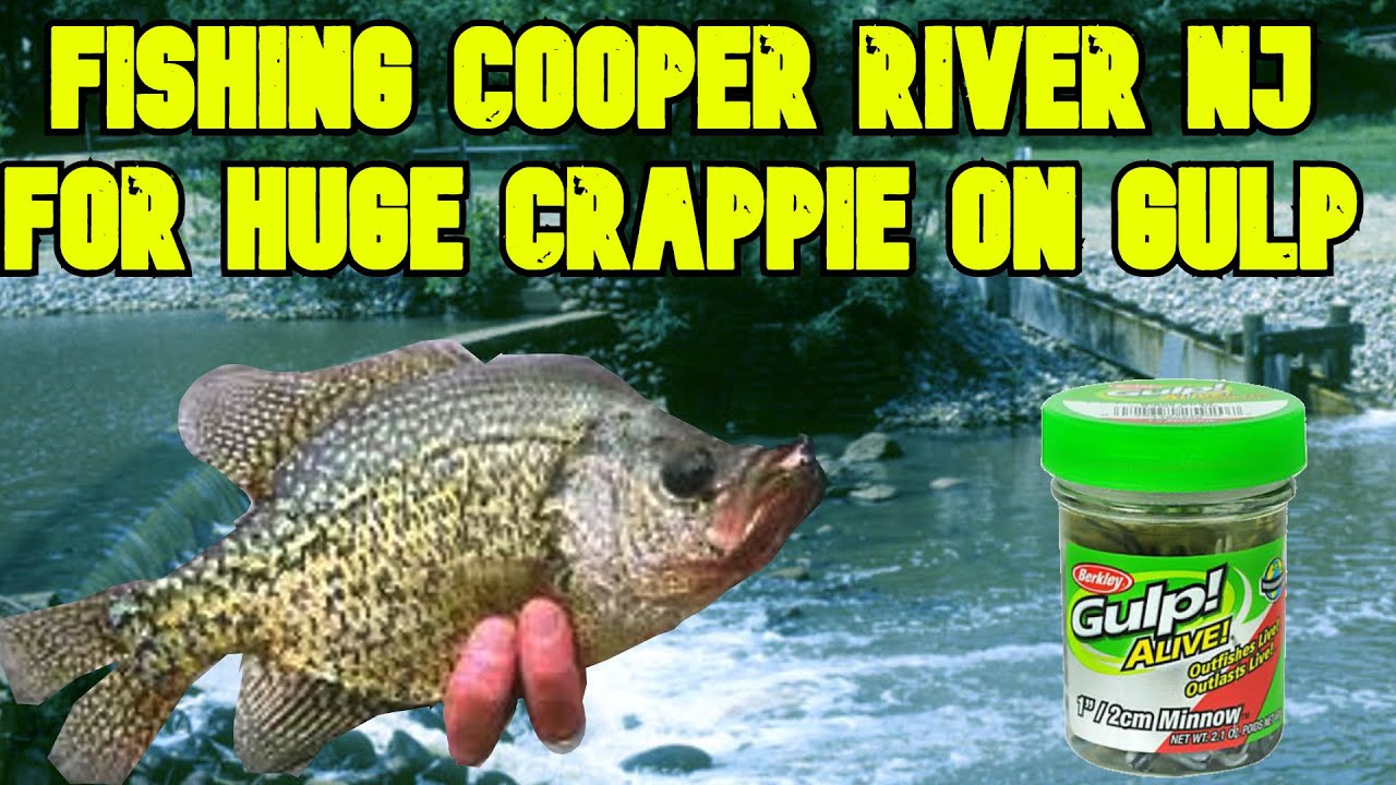 Fishing for HUGE Crappie in the Cooper River in NJ on Gulp Minnows ...