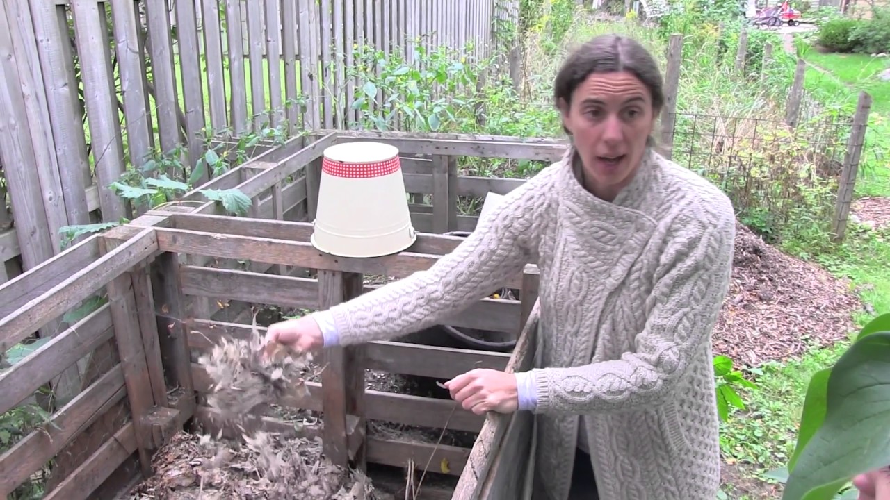 Composting basics: Composting Dos & Don'ts Part 2 of 3 - YouTube