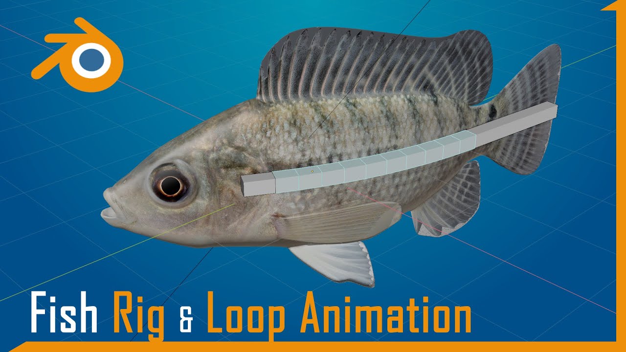 Blender Tut | Fish Rig and Animation Driver Expression - YouTube