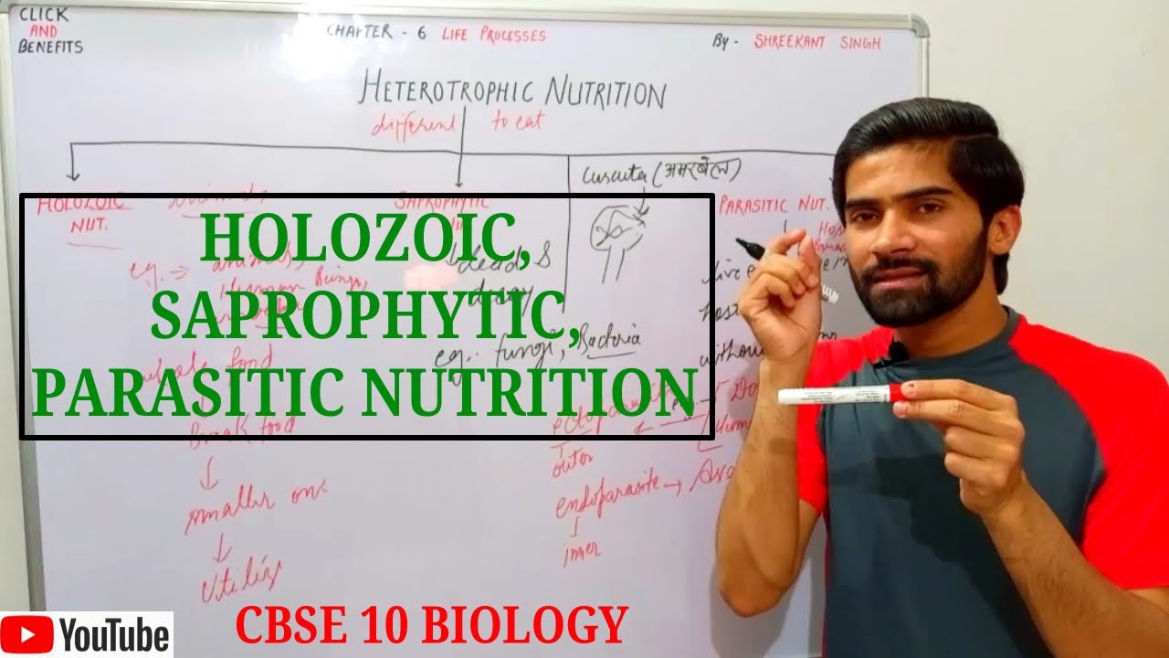 CBSE10 CHAP-6 LIFE PROCESS | HETEROTROPHIC NUTRITION | HOLOZOIC ...