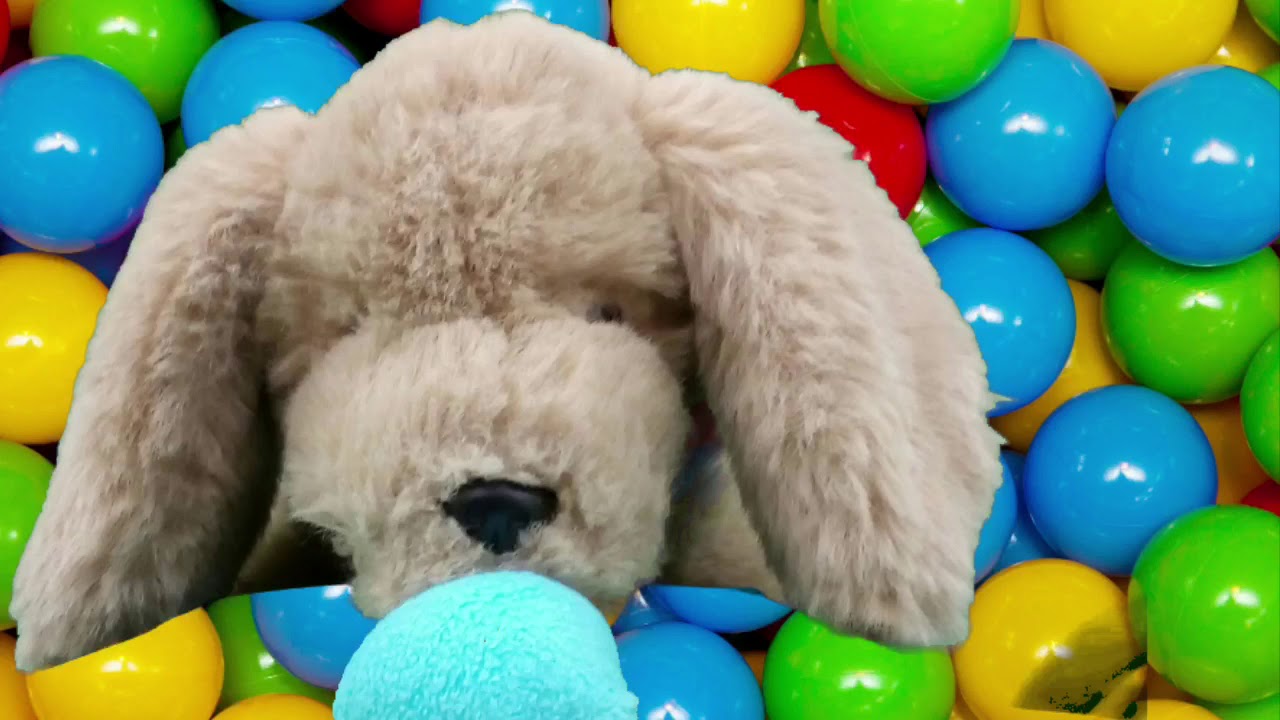 Stuffie Sleepover 2020 - YouTube