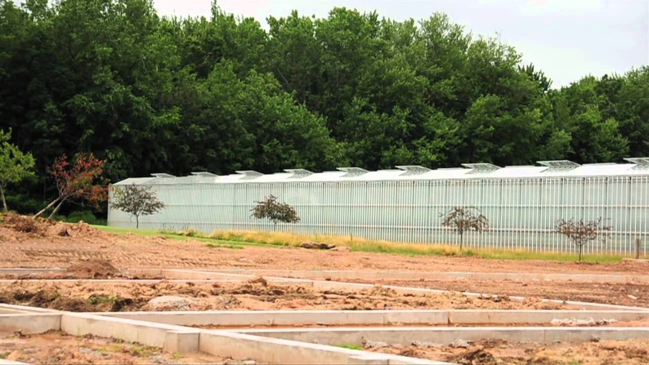 Intergrow Greenhouses gets involved in the Greentopia Festival - YouTube