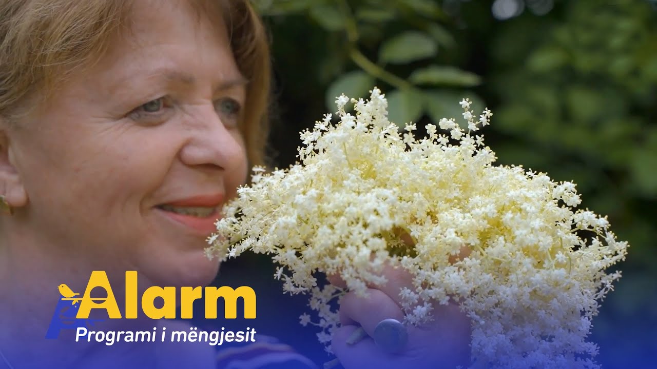 Përgatitja e lëngut të shtogut nga Kimetja - YouTube