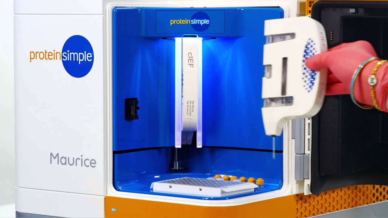 Maurice: CE-SDS Application, IgG Purity & Heterogeneity - YouTube