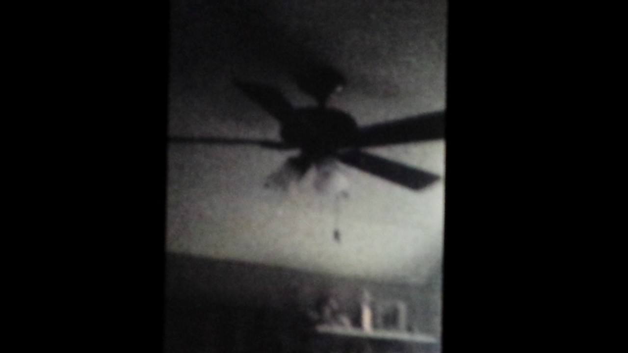 Celine fans in my house Part 3 - YouTube