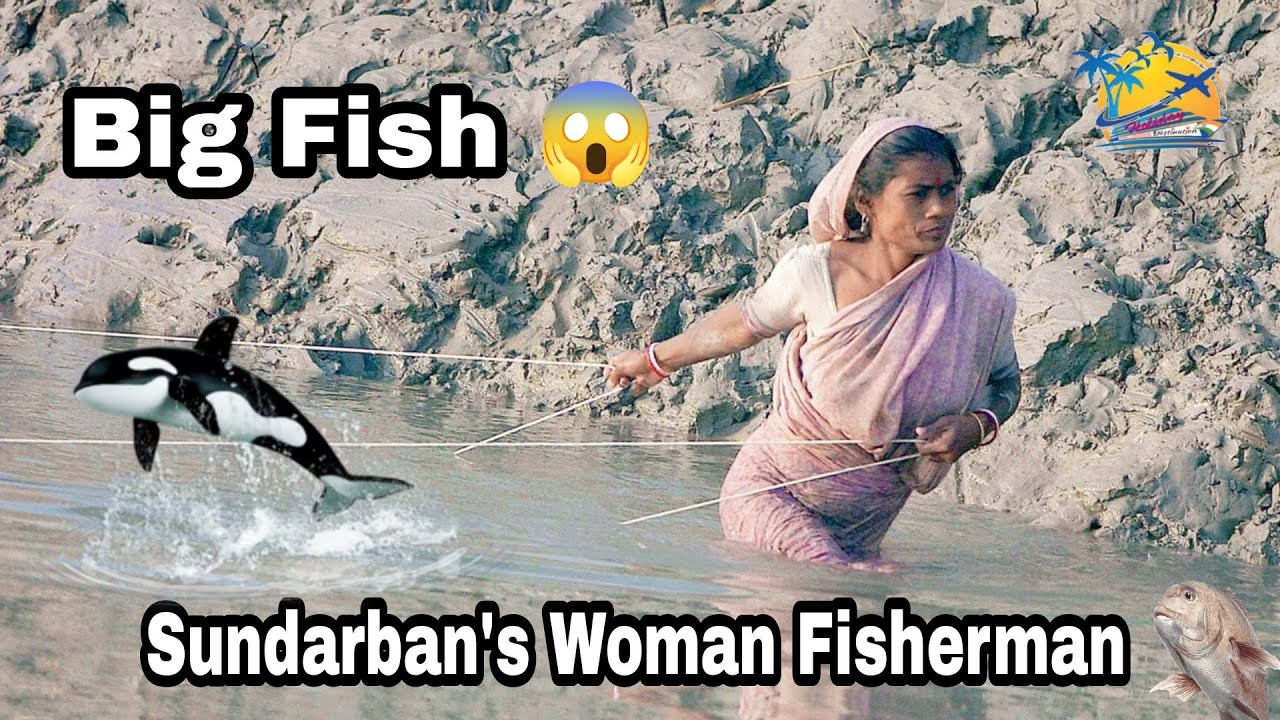 Sundarban Woman Fisherman | Sundarban Big Fish | Sundarban River | Sundarban Food | Sundarban ...