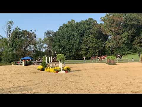 Ellen Cabot/ Oberon - 3’ Hunter Derby - YouTube