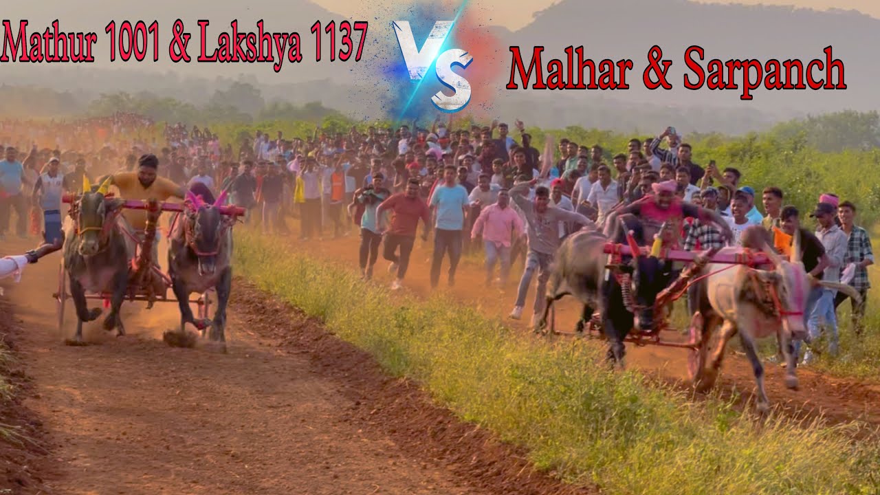 Mathur 1001 & Lakshya 1137 🆚 Malhar & Sarpanch मैत्रीपूर्ण शर्यत - YouTube