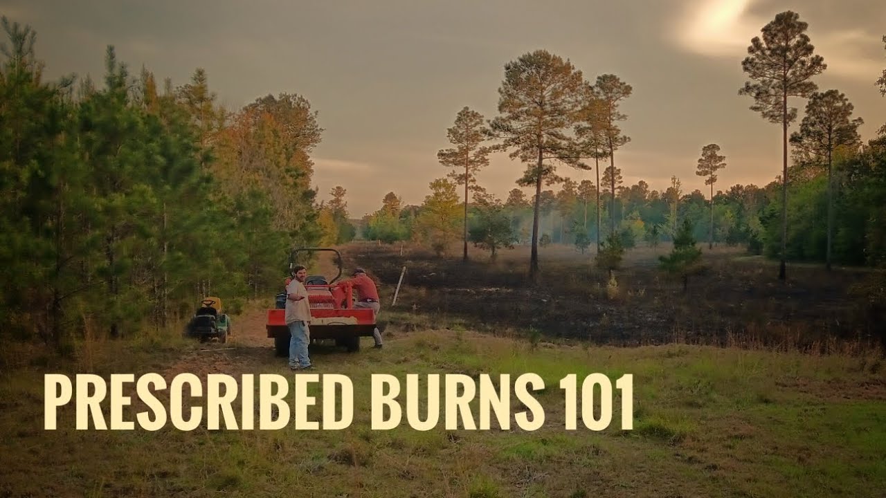 Prescribed burn on our hunting land! How to do a Prescribed burn ...