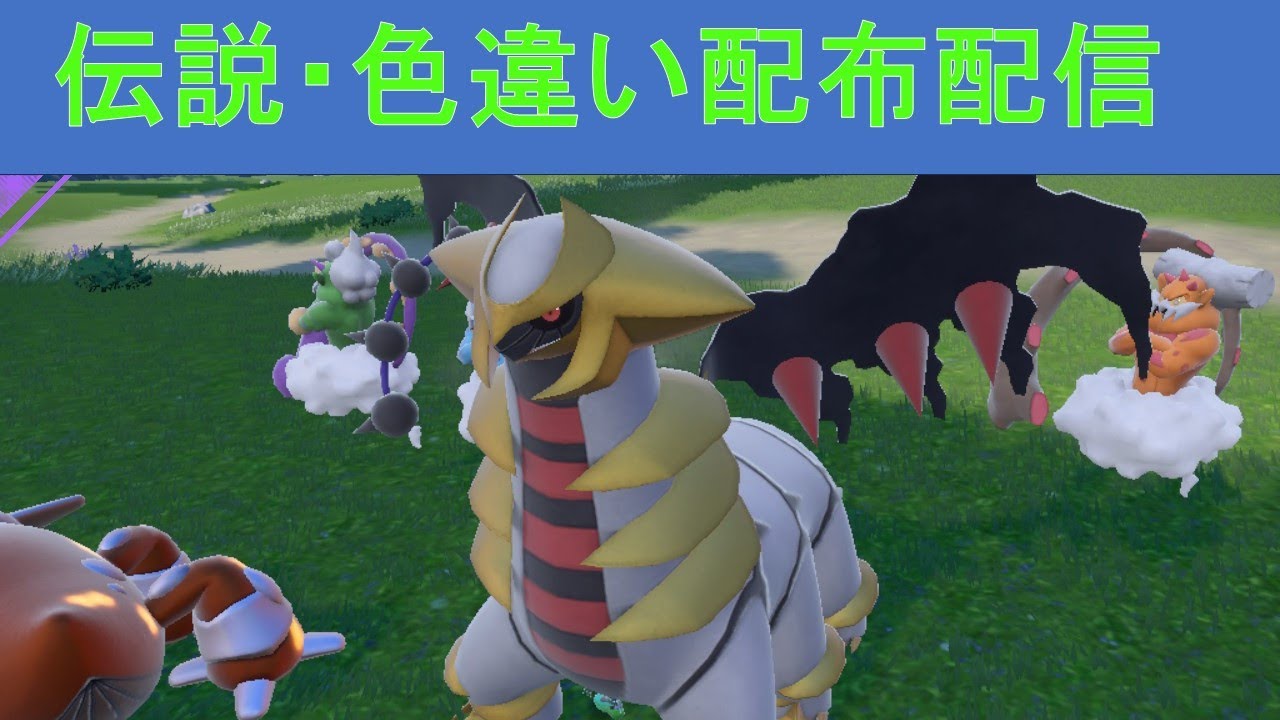 【配布配信】伝説ポケモンと色違いポケモンを配布します🍀【ポケモンSV】7 - YouTube