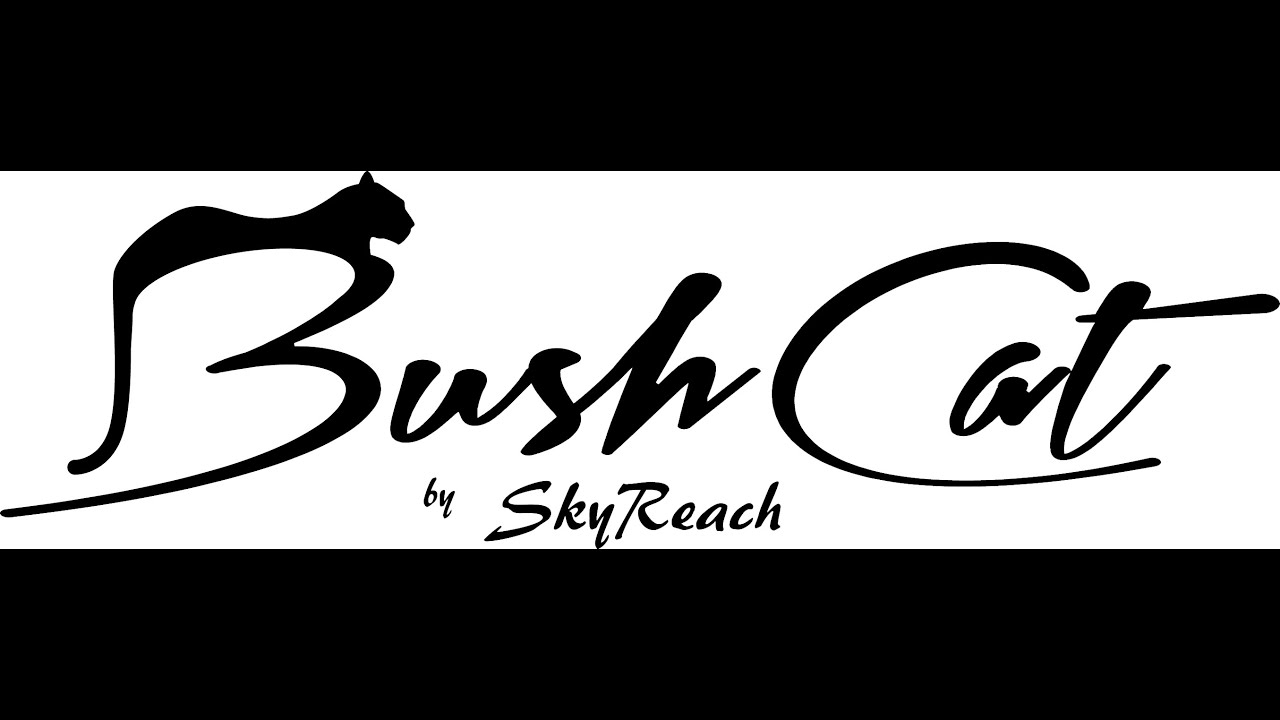 BushCat STOL aircraft - YouTube