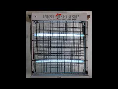 [TYLS] // Pest-O-Flash - The Moment Everything Became Nothing - YouTube