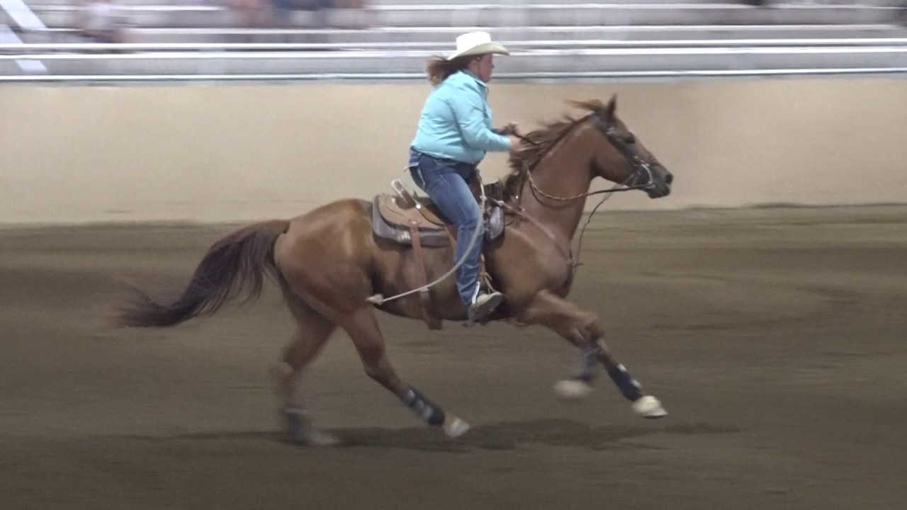 Teri Silva and Lucky Patch Of Fame Camarillo Classic 7-22-17 - YouTube