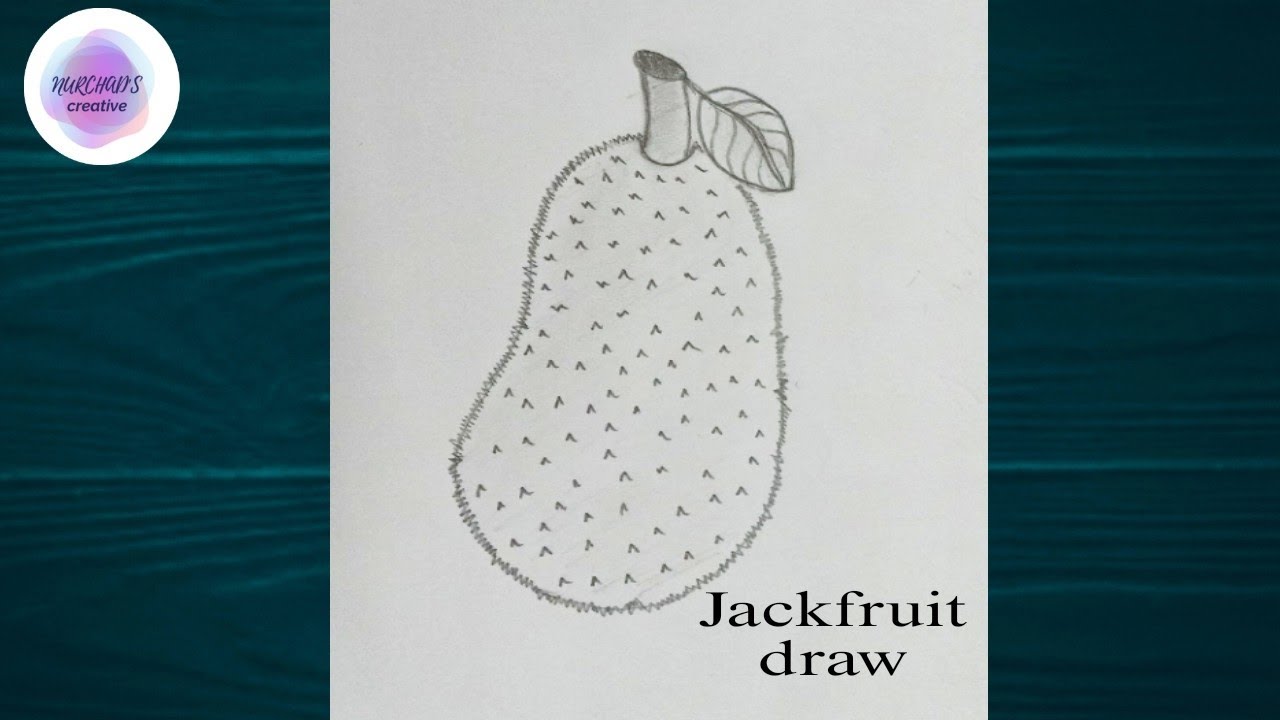 How to draw a jackfruit || national fruit ‌draw very easy|| কাঁঠাল আঁকা ...