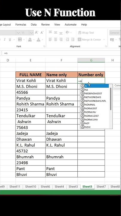 Separation of Text and Numbers using MS Excel | Do you know how to use N and T Function in Excel ...