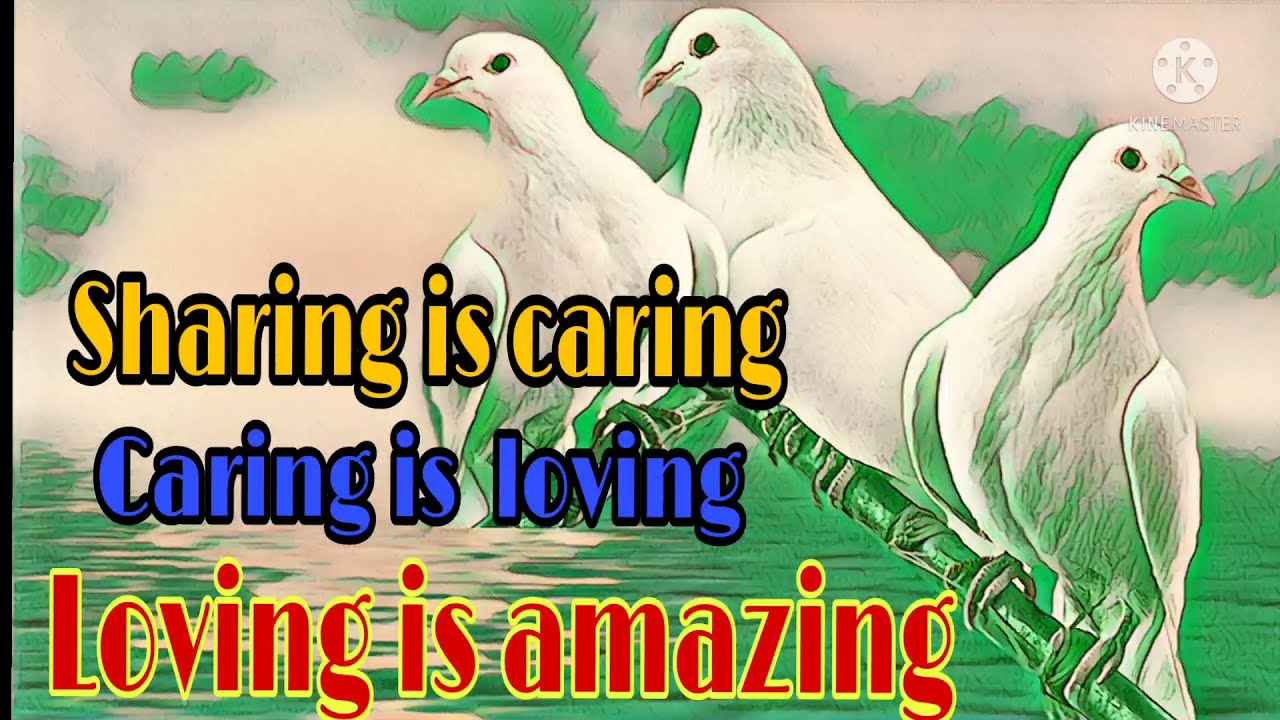 Sharing is caring ...Caring is loving ...Loving is amazing - YouTube