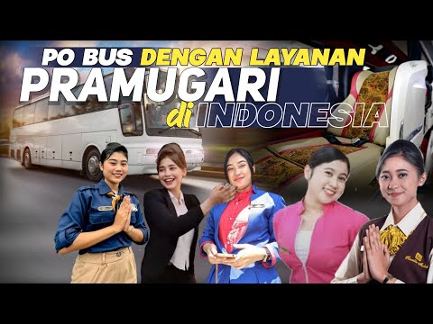 Inilah Deretan Bus Dengan Layanan Pramugari Cantik di Indonesia🇮🇩