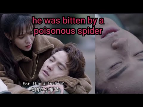 Trapped in the forest,he was bitten by a poisonous spider and lost consciousness sceen review #hurt 