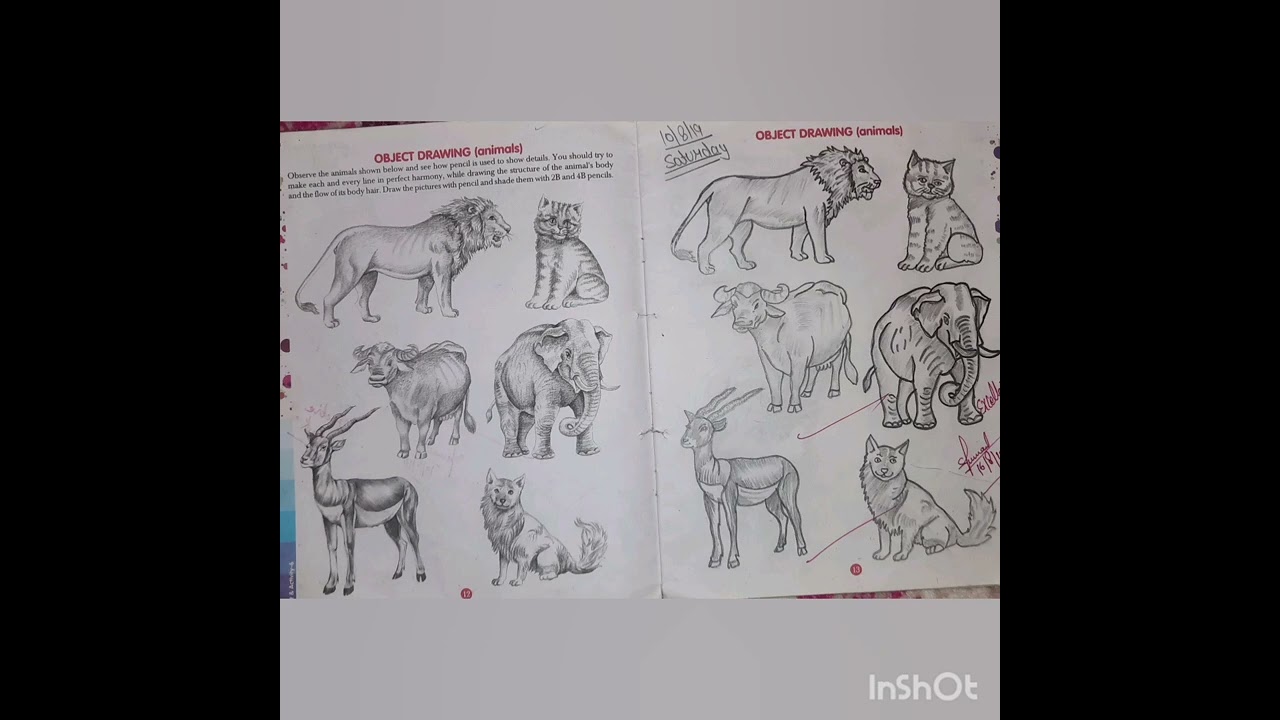 object drawing animals pencil shading drawing real v/s practice 🥰 - YouTube