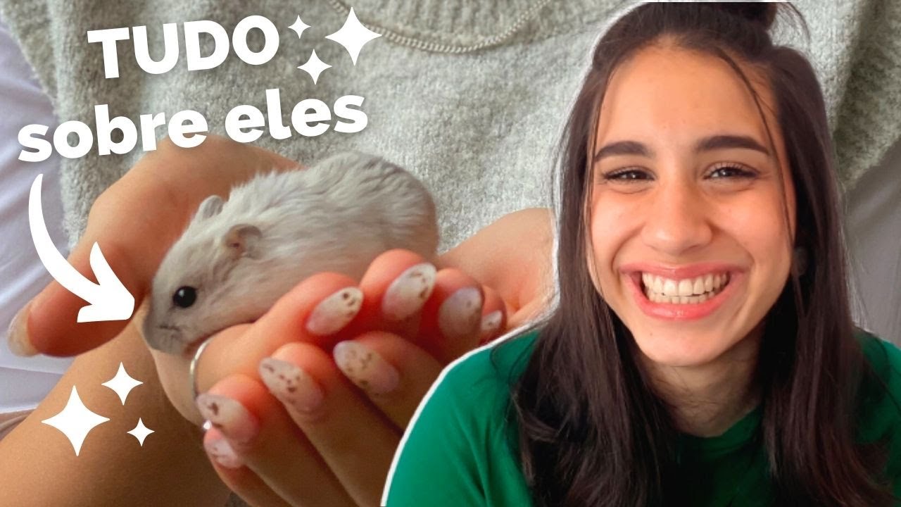 TUDO SOBRE O HAMSTER ANÃO RUSSO: Como surgiram? Eles podem viver juntos ...