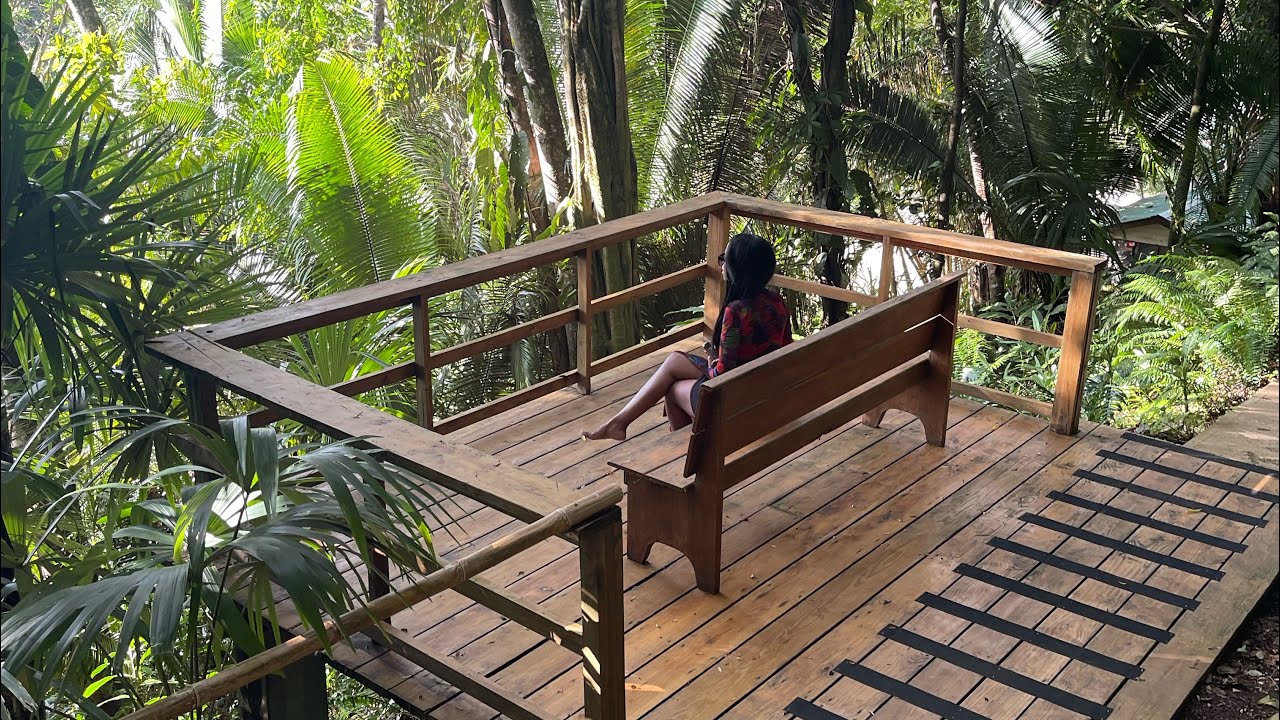 Amazing honeymoon suite at Copal Tree Lodge in Belize 🔥🔥🔥 - YouTube