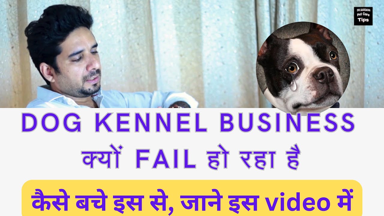 Save dog line || Dog kennel business क्यों fail हो रहा है ।।tips to ...