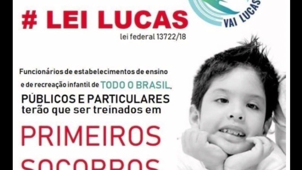 Lei de Lucas 13722/2018 reciclagem - YouTube