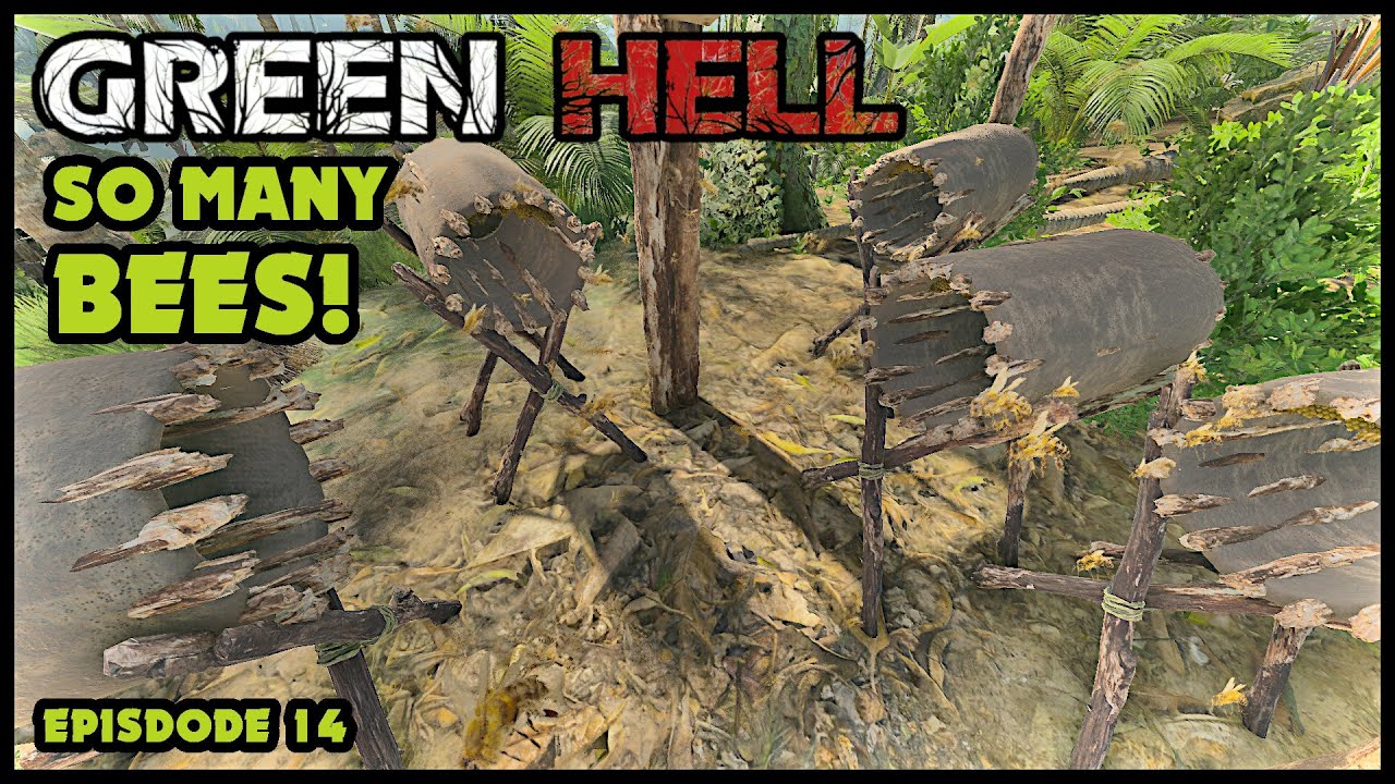 Animal Husbandry Update and More Bees and Better Food | How to Green ...