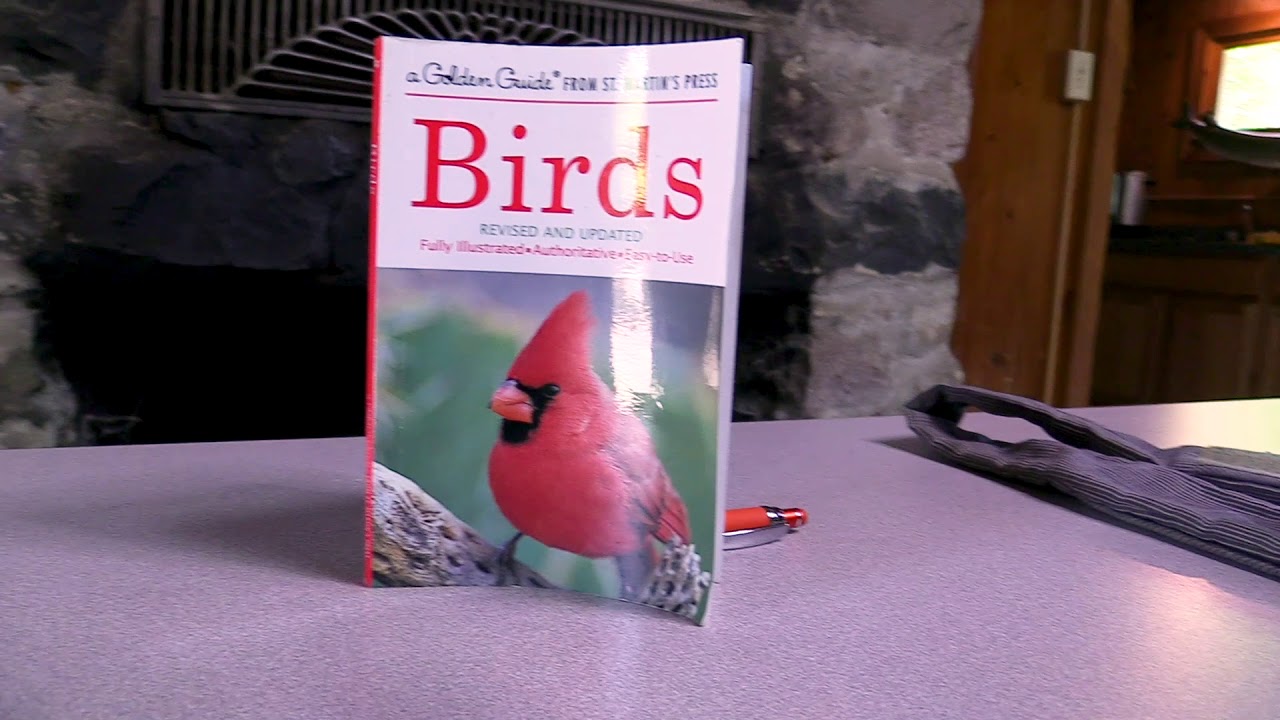Ornithology | Studying Birds with Ranger Jason - YouTube