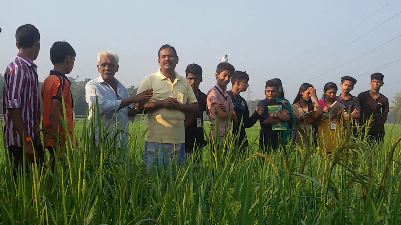 GVHSS Pathiripala - YouTube