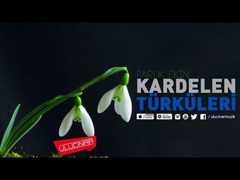 Faruk Ekin - Sitemim