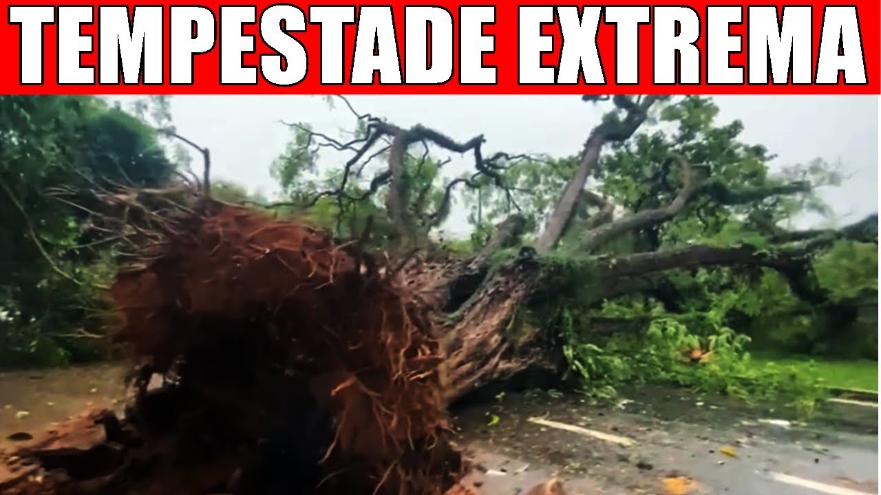 tempestade severa em são Paulo sudeste tomado por temporal - YouTube