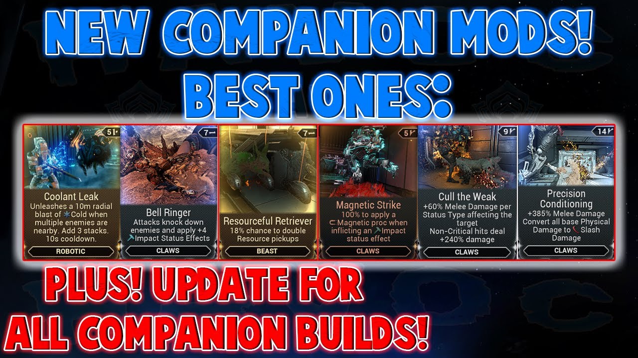 UPDATED COMPANION BUILDS! Damage builds for beasts + best new mods. And ...